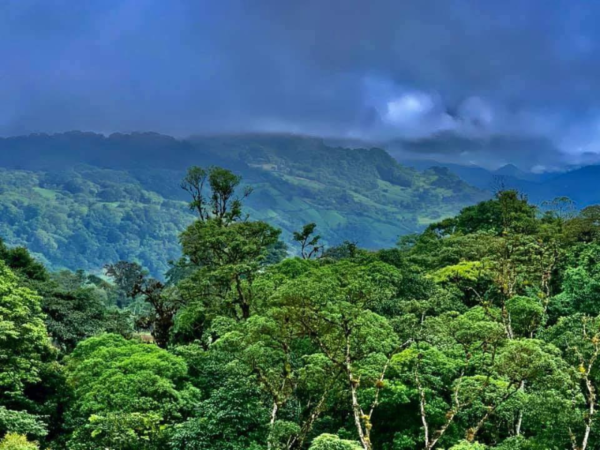 Miraflor Nature Reserve - ORO Travel